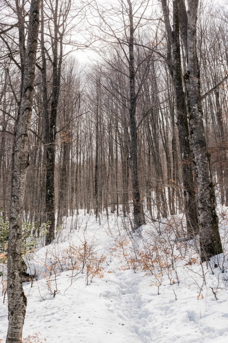 Alpine Snowy Engagement at the Vermion Mountains – Ellwed