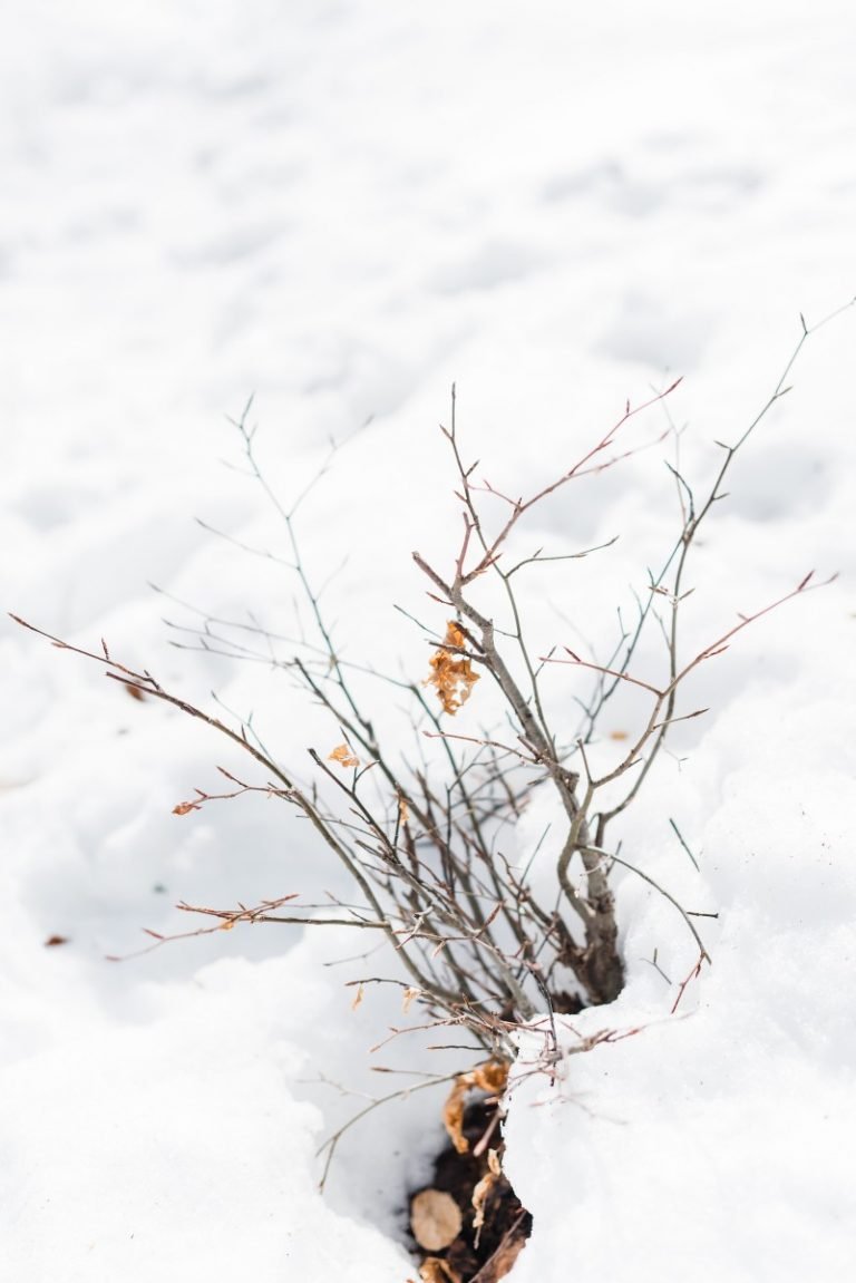 Alpine Snowy Engagement at the Vermion Mountains – Ellwed
