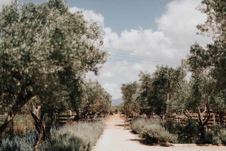 AMALTHEIA - BOHEMIAN RHAPSODY BRIDAL INSPIRATION FROM ATHENS – Ellwed