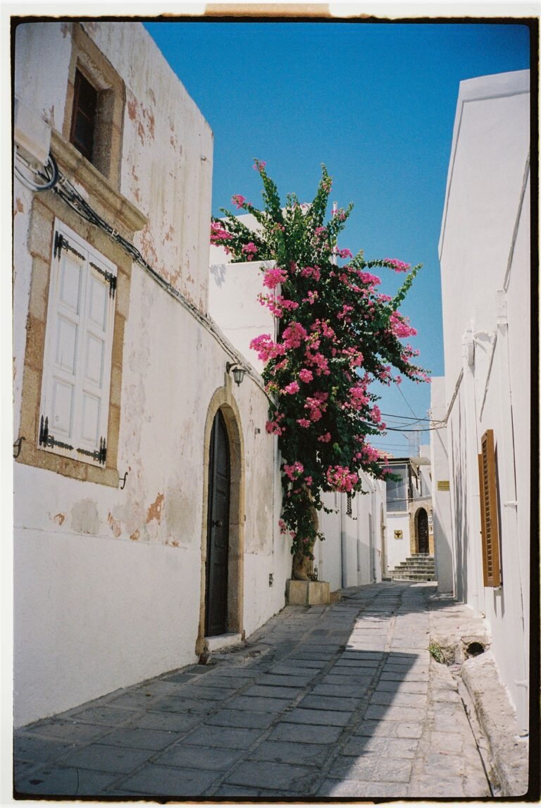Real Dreamy Destination Wedding at Ktima Lindos on the Island of Rhodes ...